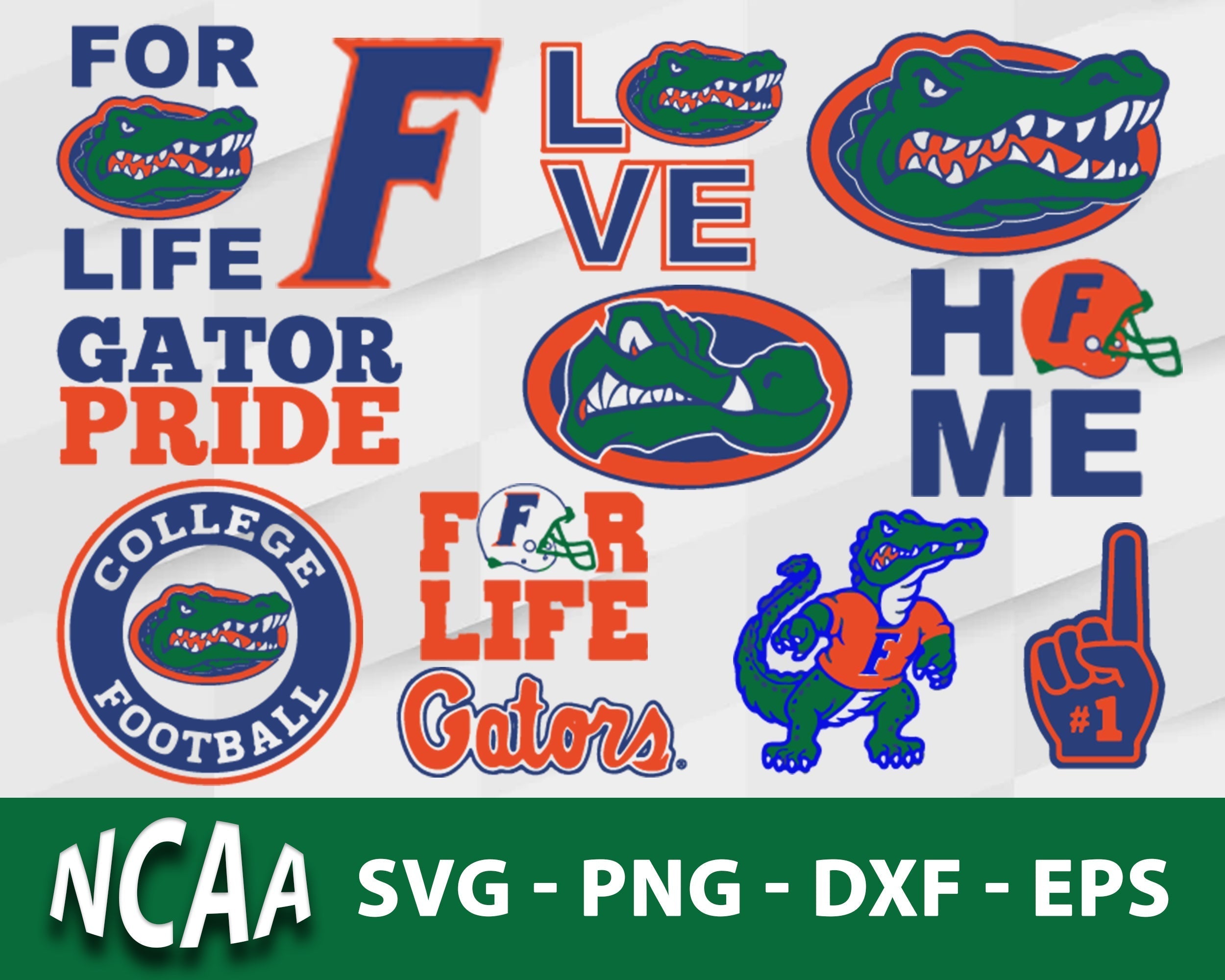 Florida Gators Svg Bundle, Florida Gators Svg, Sport Svg, Ncaa Svg, Pn